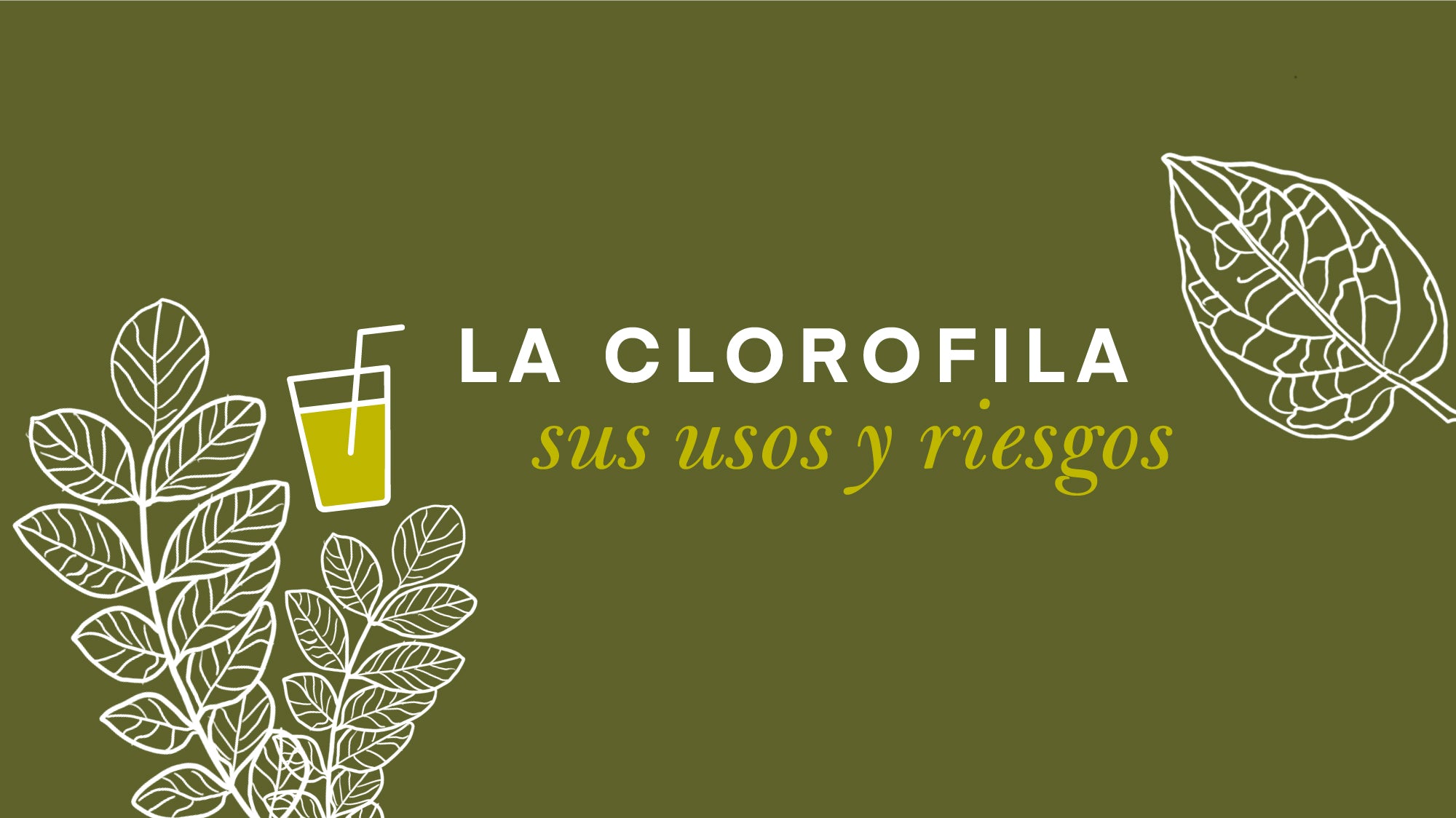 La clorofila, sus usos y riesgos – Soler - Centro de Bienestar y Salud